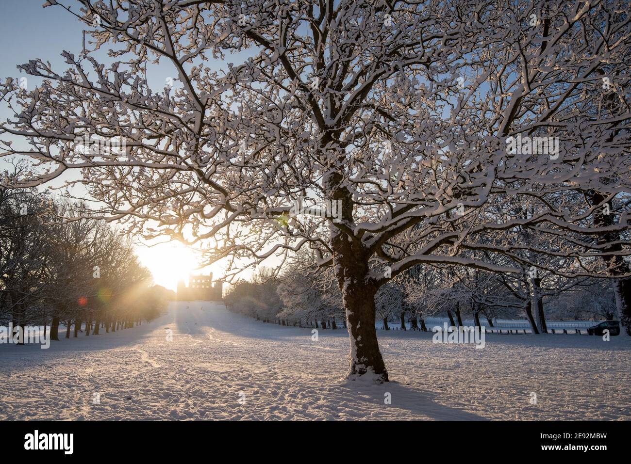 A bright sunny morning at Wollaton Park, covered in snow. Nottingham ...