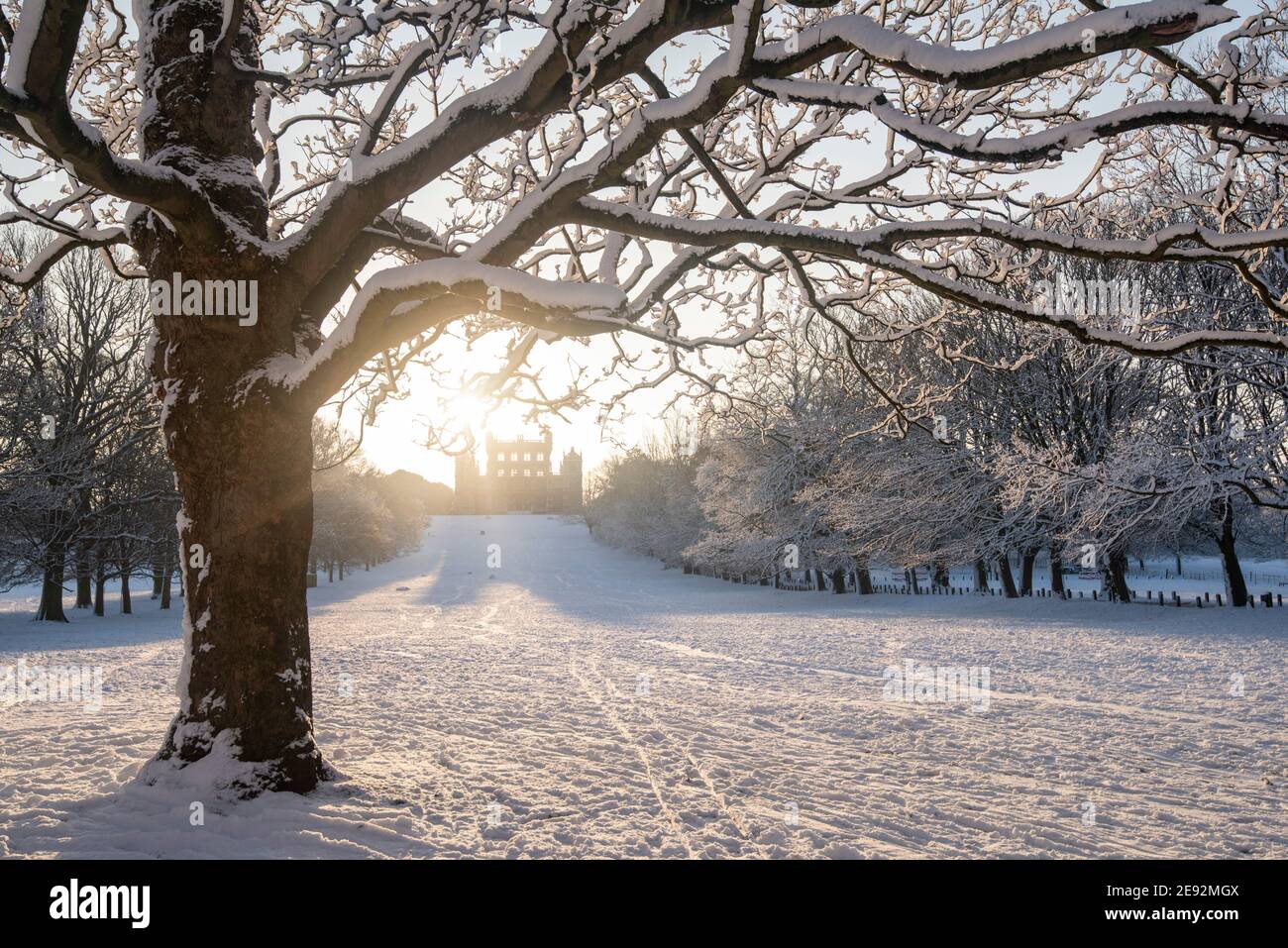 A bright sunny morning at Wollaton Park, covered in snow. Nottingham ...