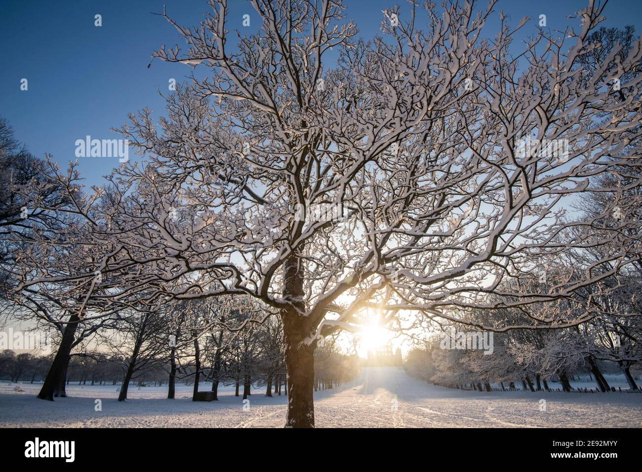 A bright sunny morning at Wollaton Park, covered in snow. Nottingham ...
