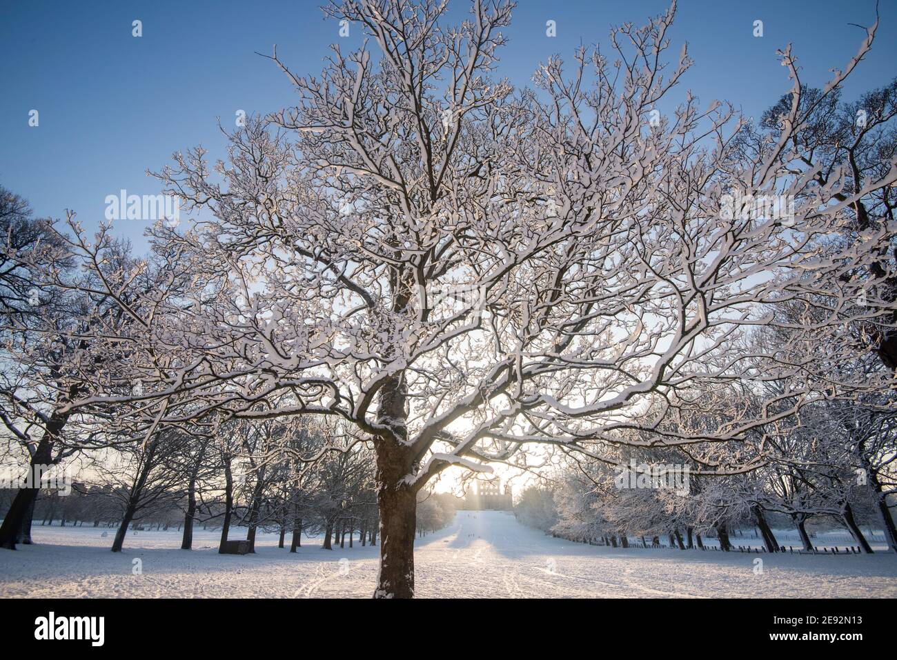 A bright sunny morning at Wollaton Park, covered in snow. Nottingham ...