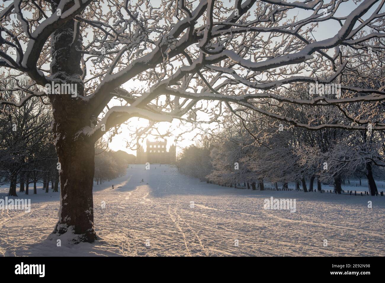 A bright sunny morning at Wollaton Park, covered in snow. Nottingham ...