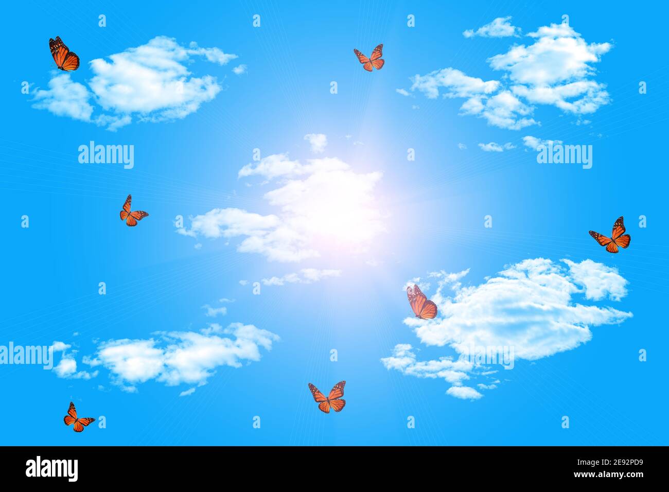blue sky with clouds and sun through which butterflies fly. High ...