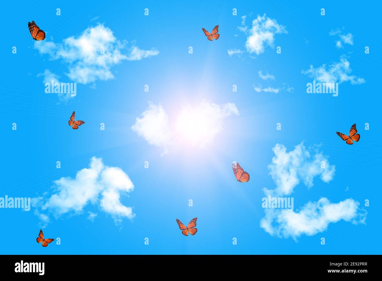 blue sky with clouds and sun through which butterflies fly. High ...