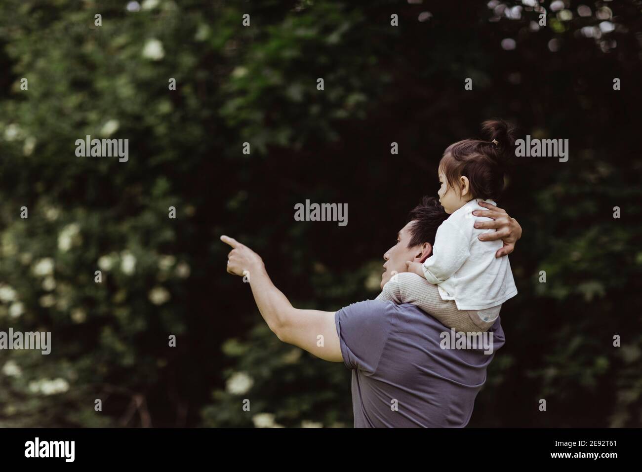 Father pointing while carrying male toddler over shoulder at park Stock ...