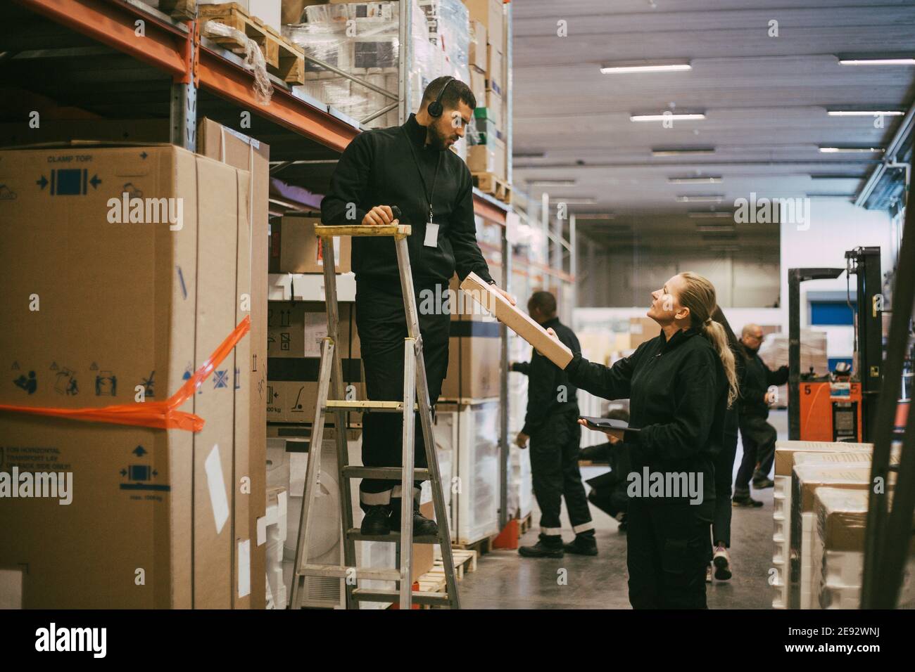 Male and female coworker holding package at logistics warehouse Stock ...