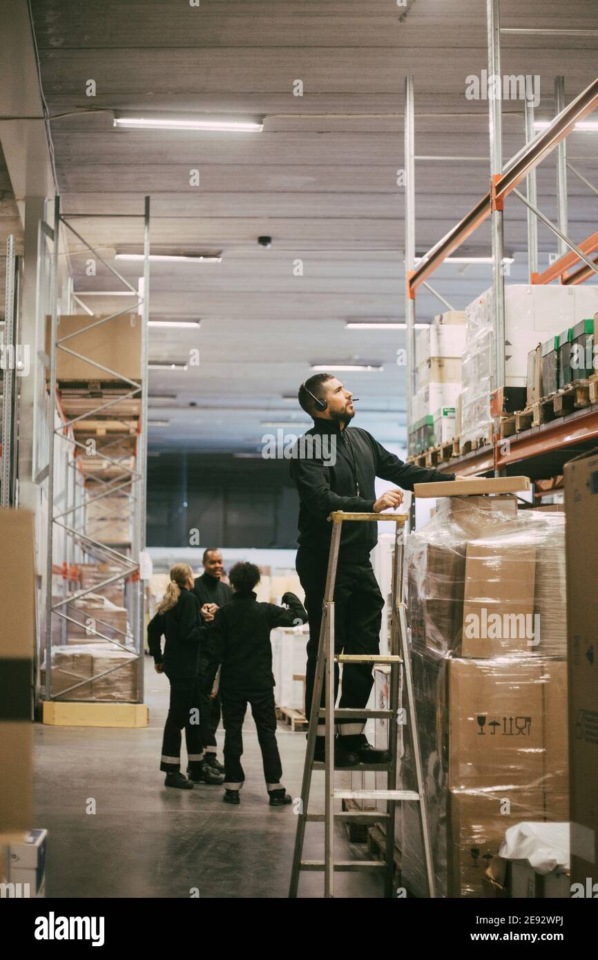 Male entrepreneur standing on ladder while taking inventory at ...