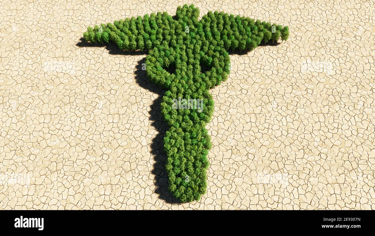 Staff Of Asclepius Tree