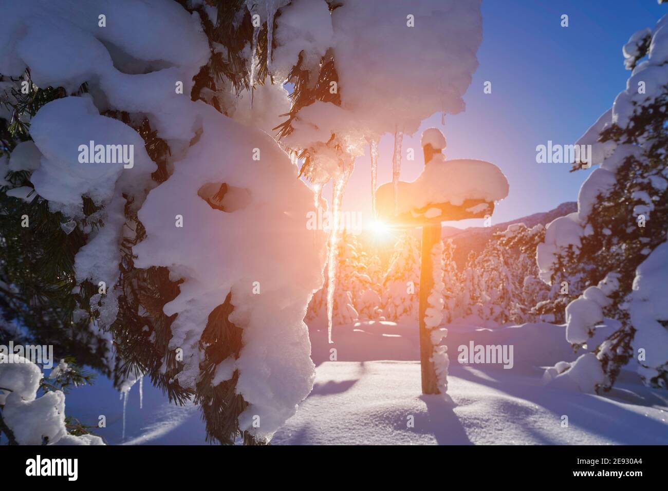 wooden cross covered with fresh snow at beautiful fresh winter morning ...