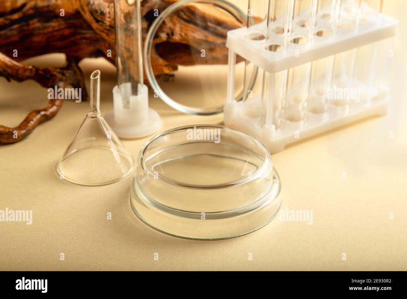 Empty lab glassware podium made from petri dishes, lab equipment. Mock ...