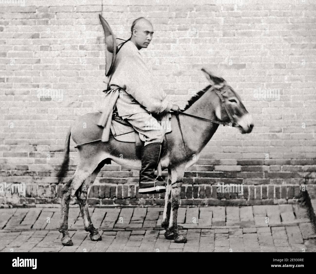 Late 19th century photograph - Chinese man on a mule or large donkey ...