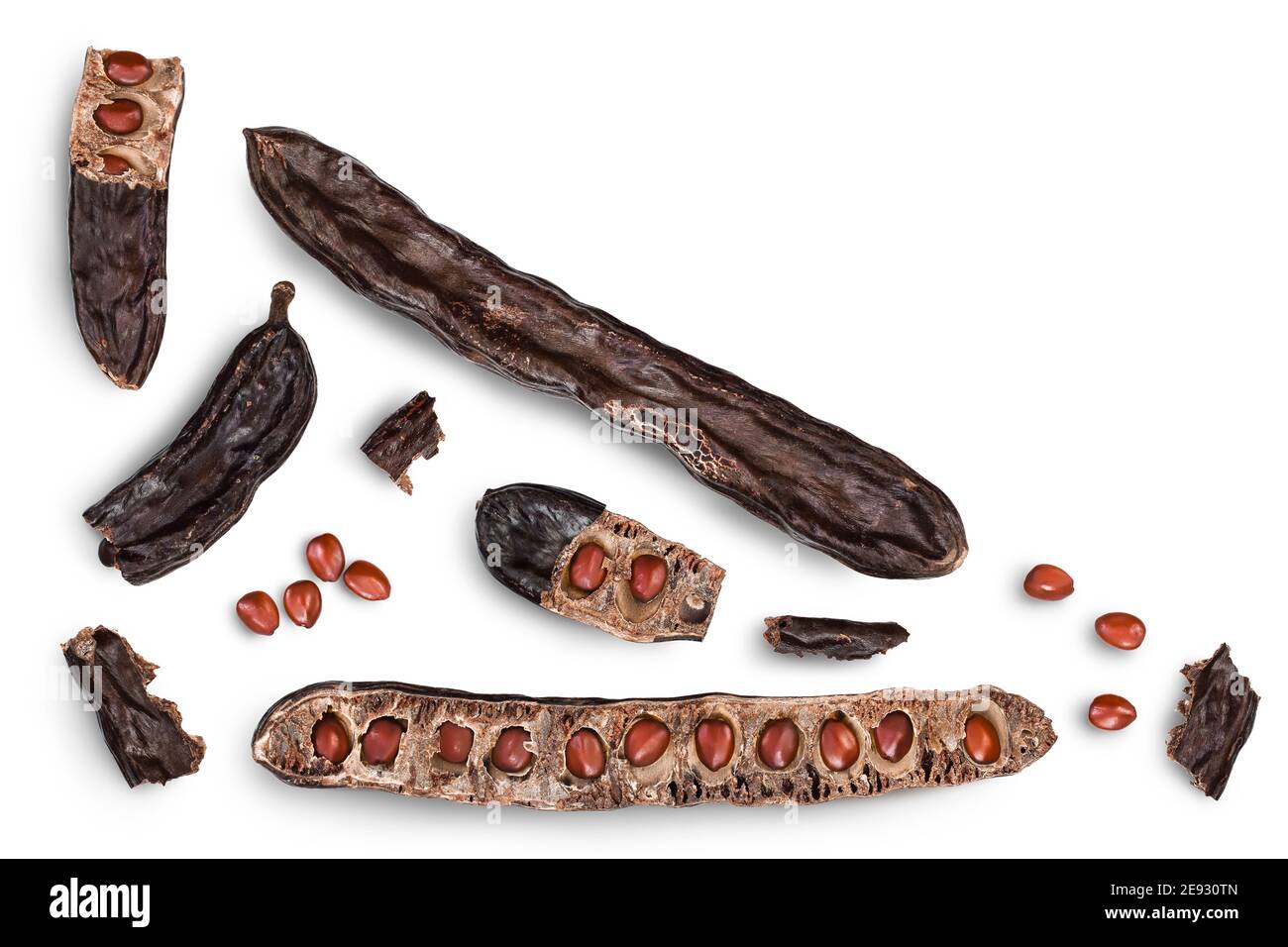 Locust bean pod tree Cut Out Stock Images & Pictures - Alamy