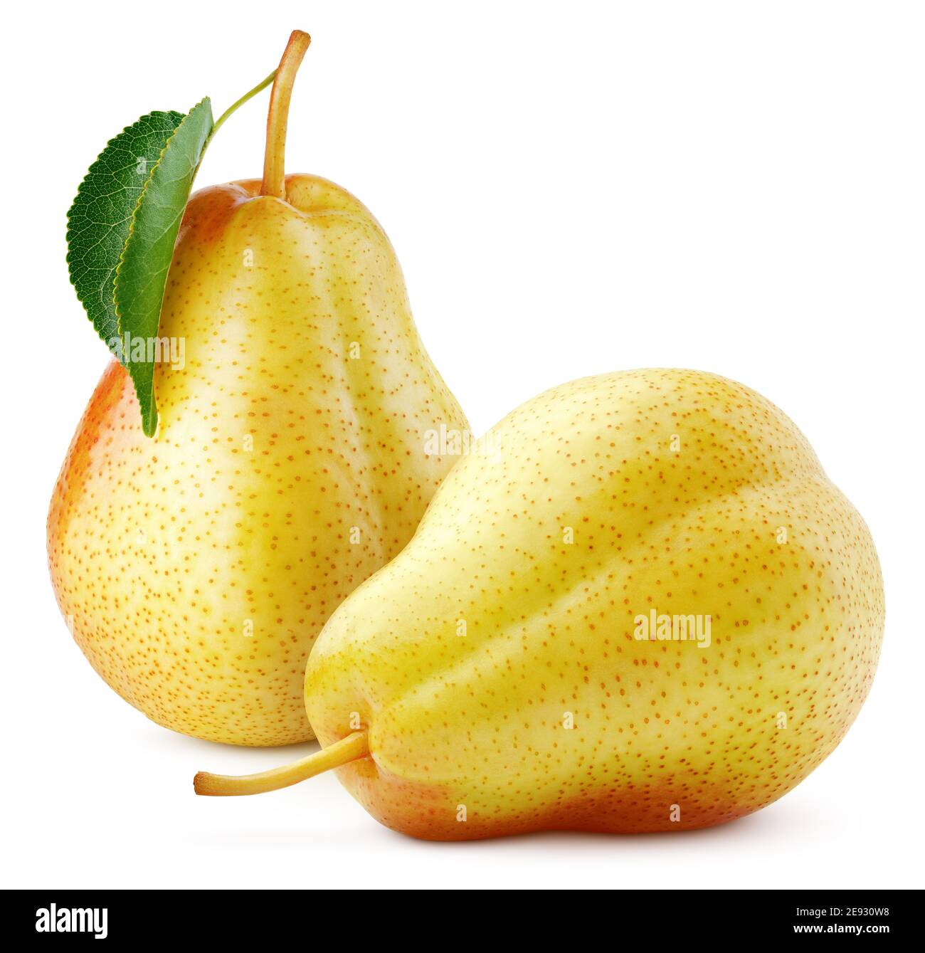 Yellow red pears isolated on white background. Two yellow pear with ...