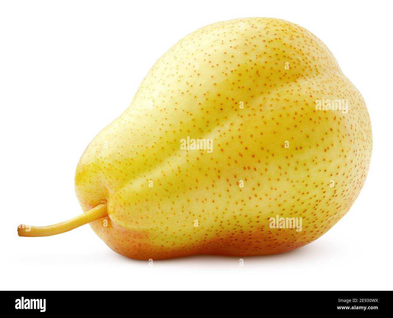 Red yellow pear fruit lies down isolated on white background with ...