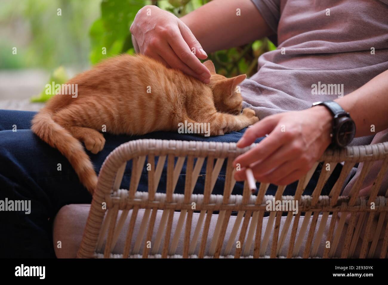 Cat watches man hi-res stock photography and images - Alamy