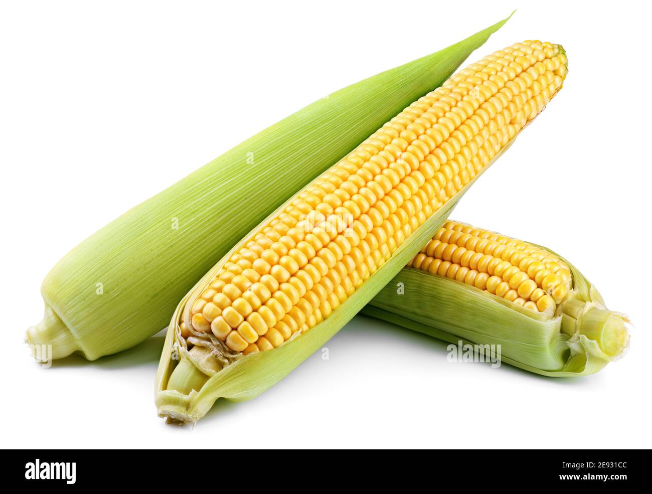Ears of corn (Corncob) isolated on white background. Full depth of ...