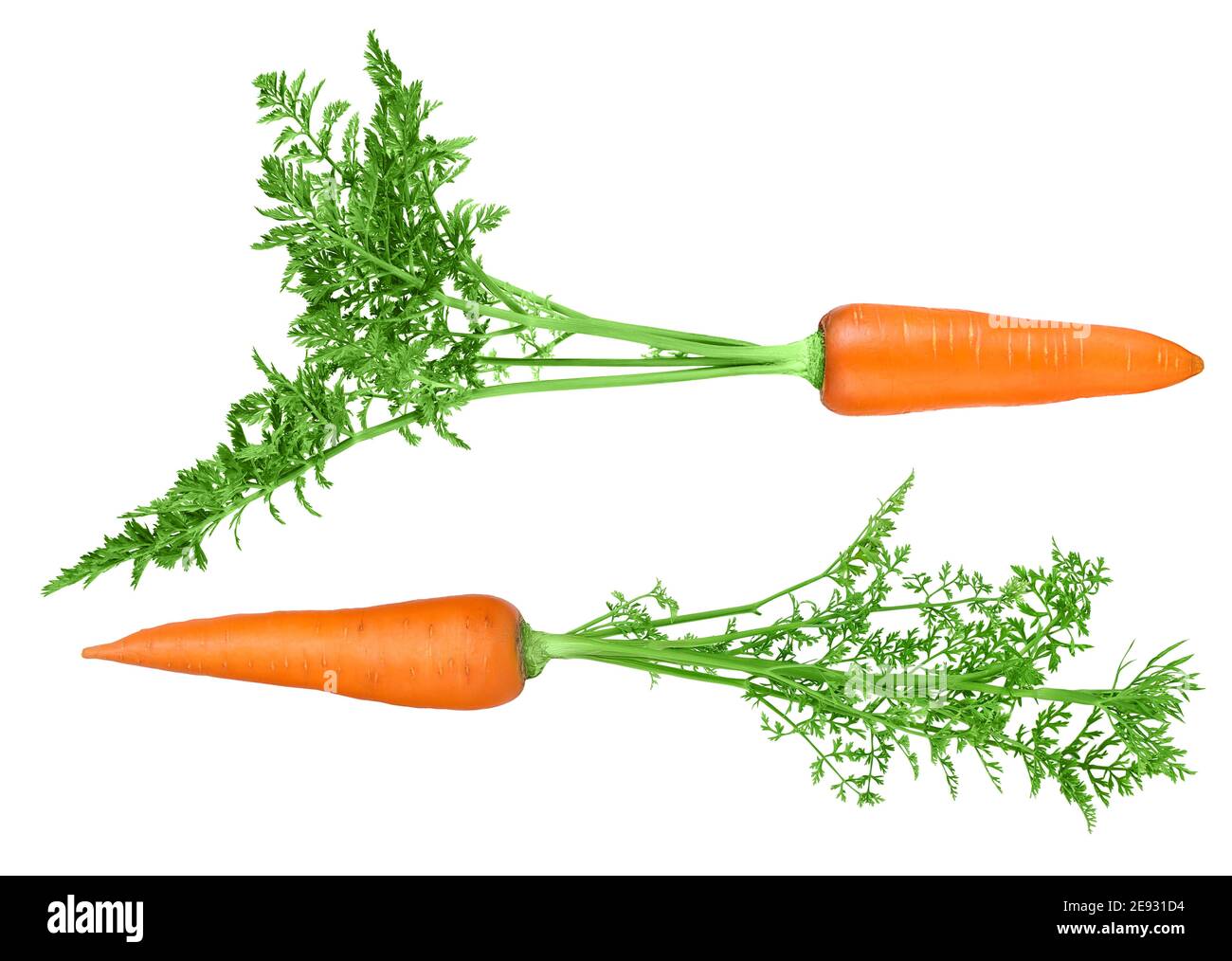Carrot isolated on white background with clipping path and full depth ...