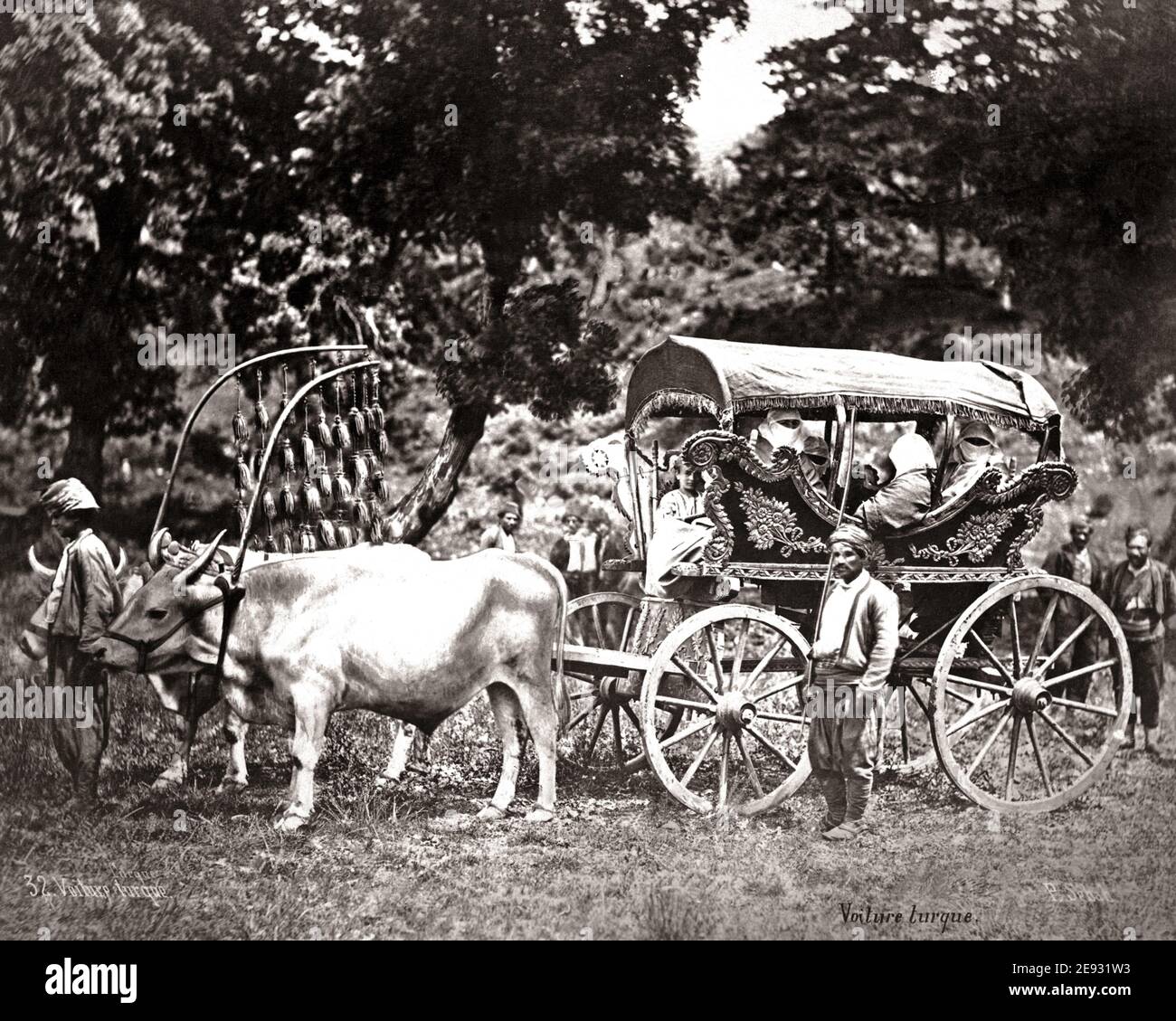 Late 19th century photograph - ox, bullock drawn Turkish Carriage ...
