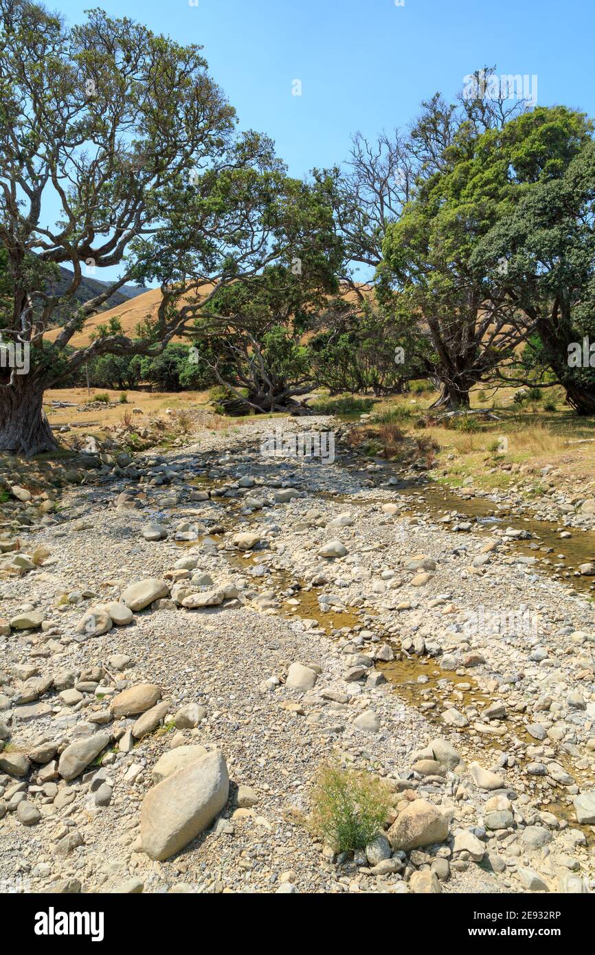 Dry sheep creek hi-res stock photography and images - Alamy