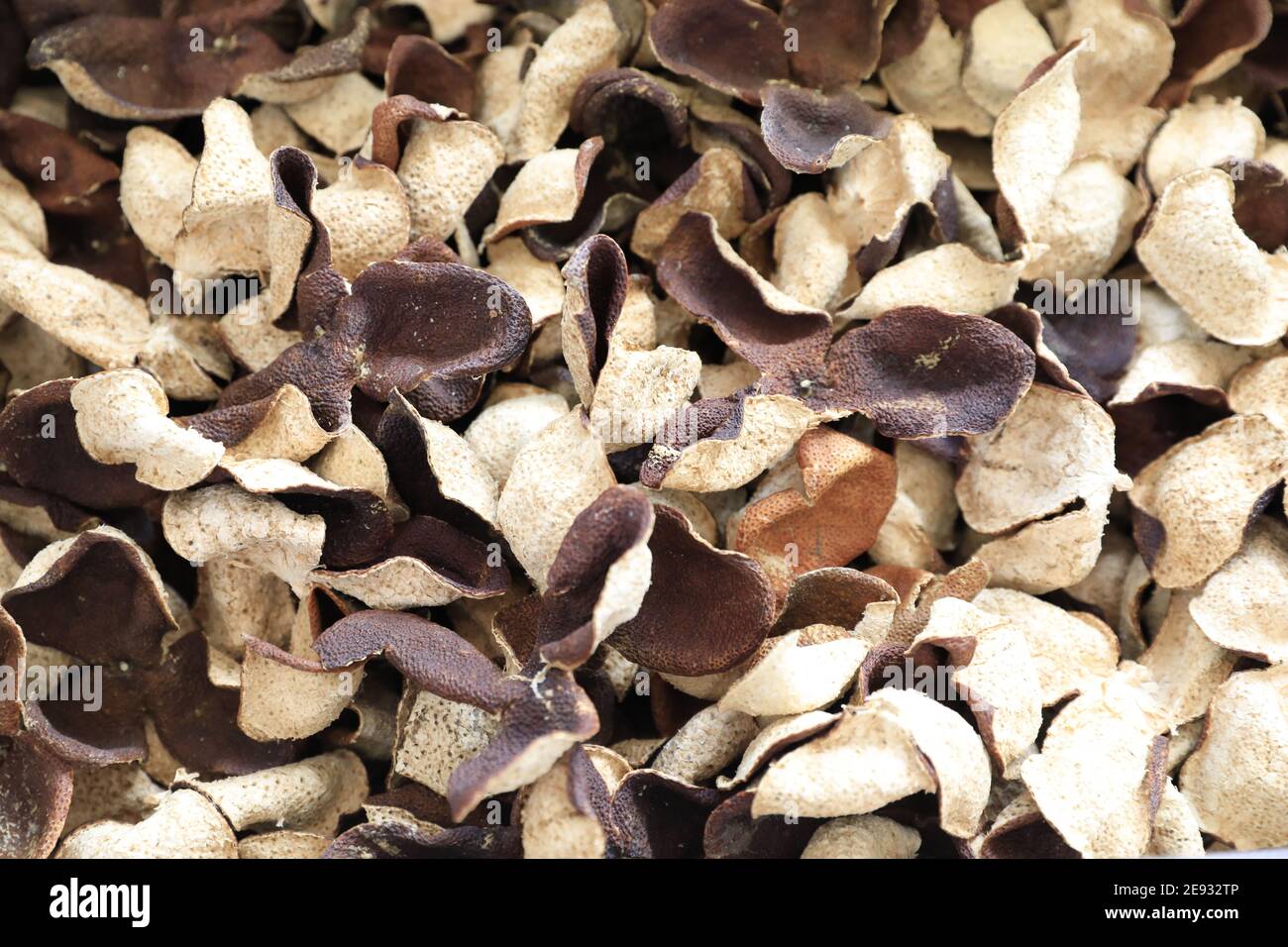 Dried tangerine or orange peel Stock Photo - Alamy