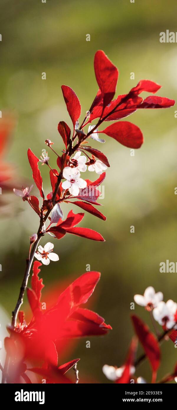 Mobile phone - lock screen - desktop wallpaper - screen saver ...