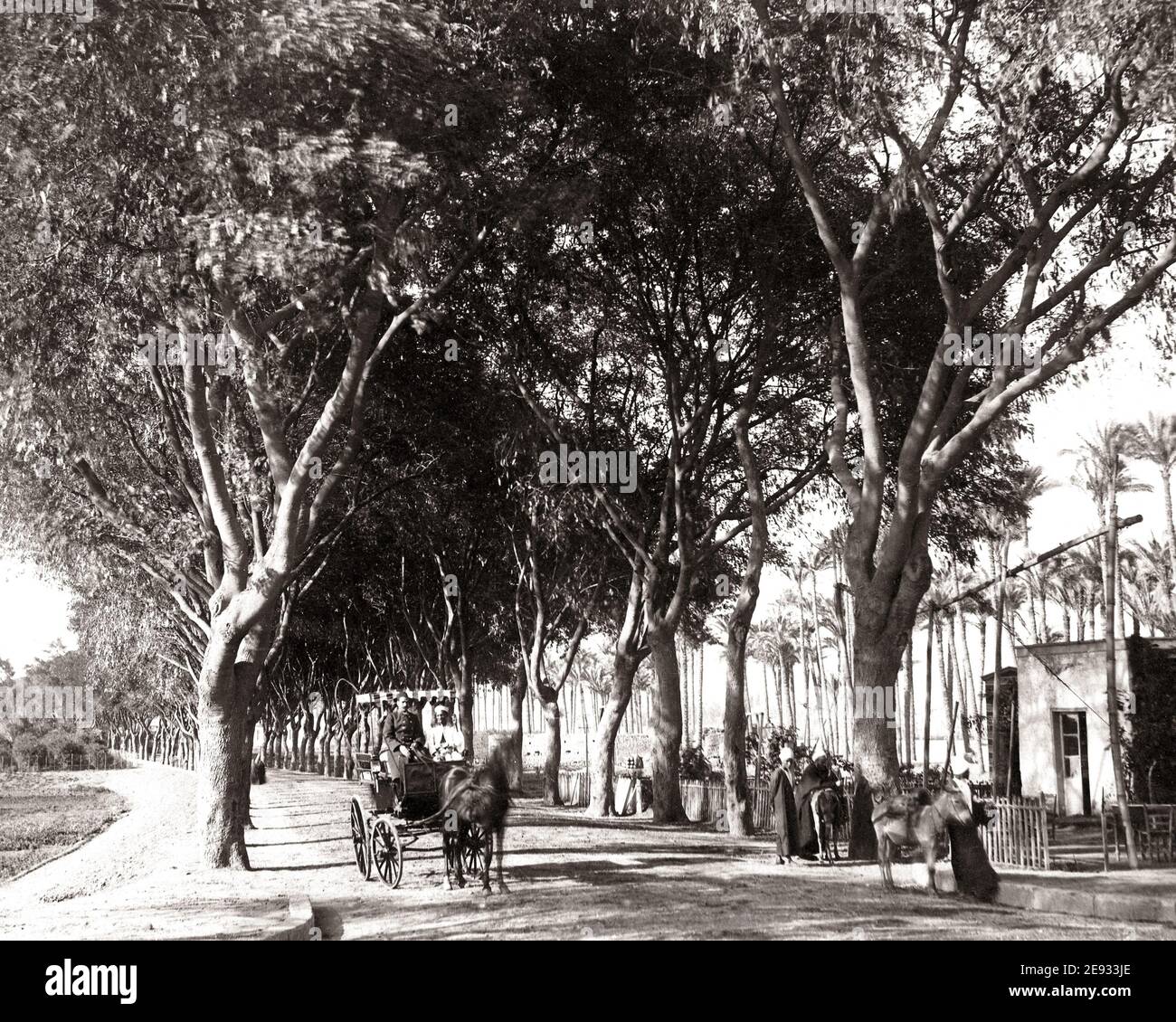 Late 19th century photograph - Street View, Cairo, road to the pyramids ...