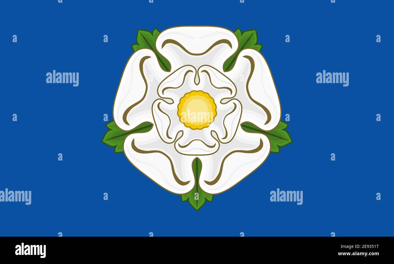 Yorkshire rose vector Stock Vector Images - Alamy