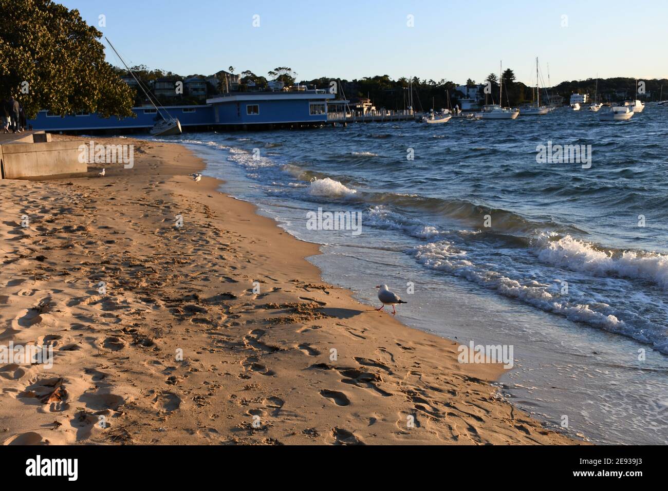Aerial view of sea waves lash line impact rock on the beach in Sydney ...