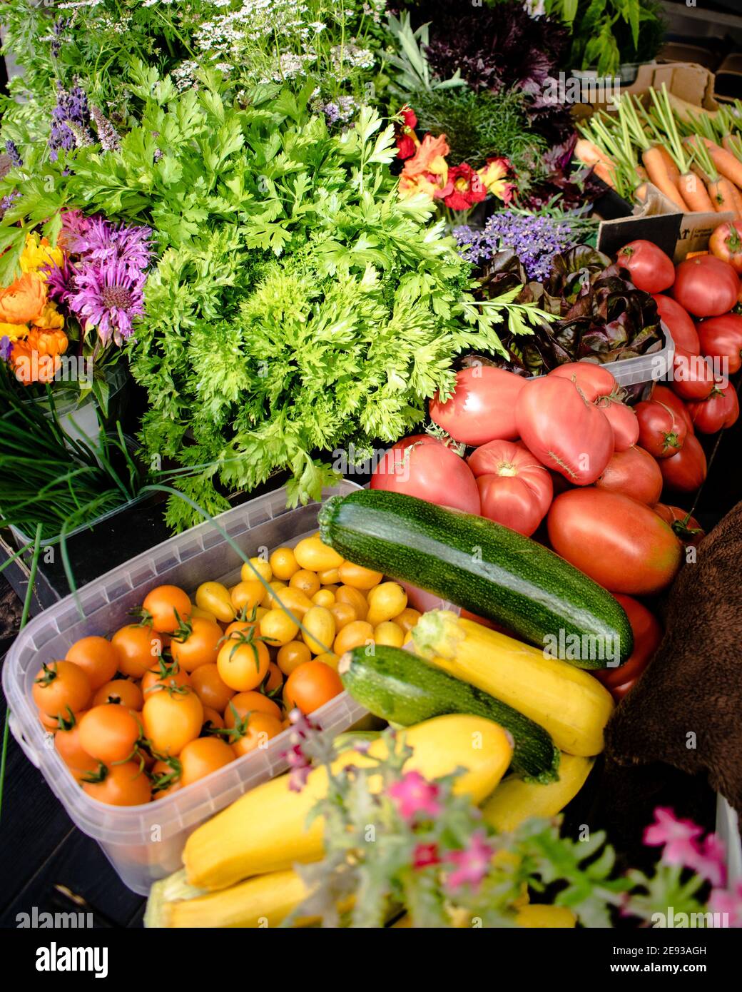 Assorted vegetables straight from the farm to restaurant Stock Photo ...