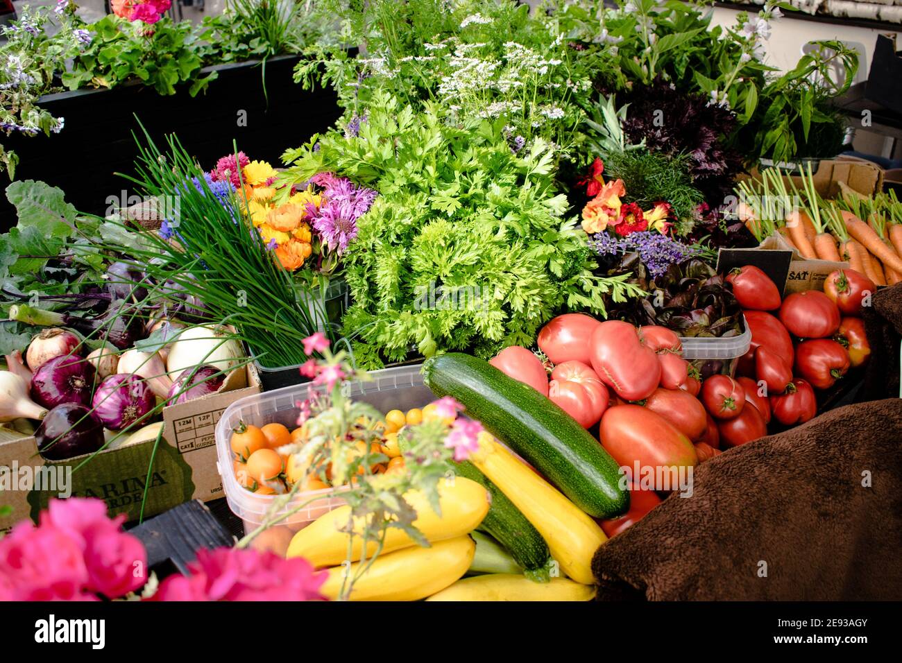 Assorted vegetables straight from the farm to restaurant Stock Photo ...