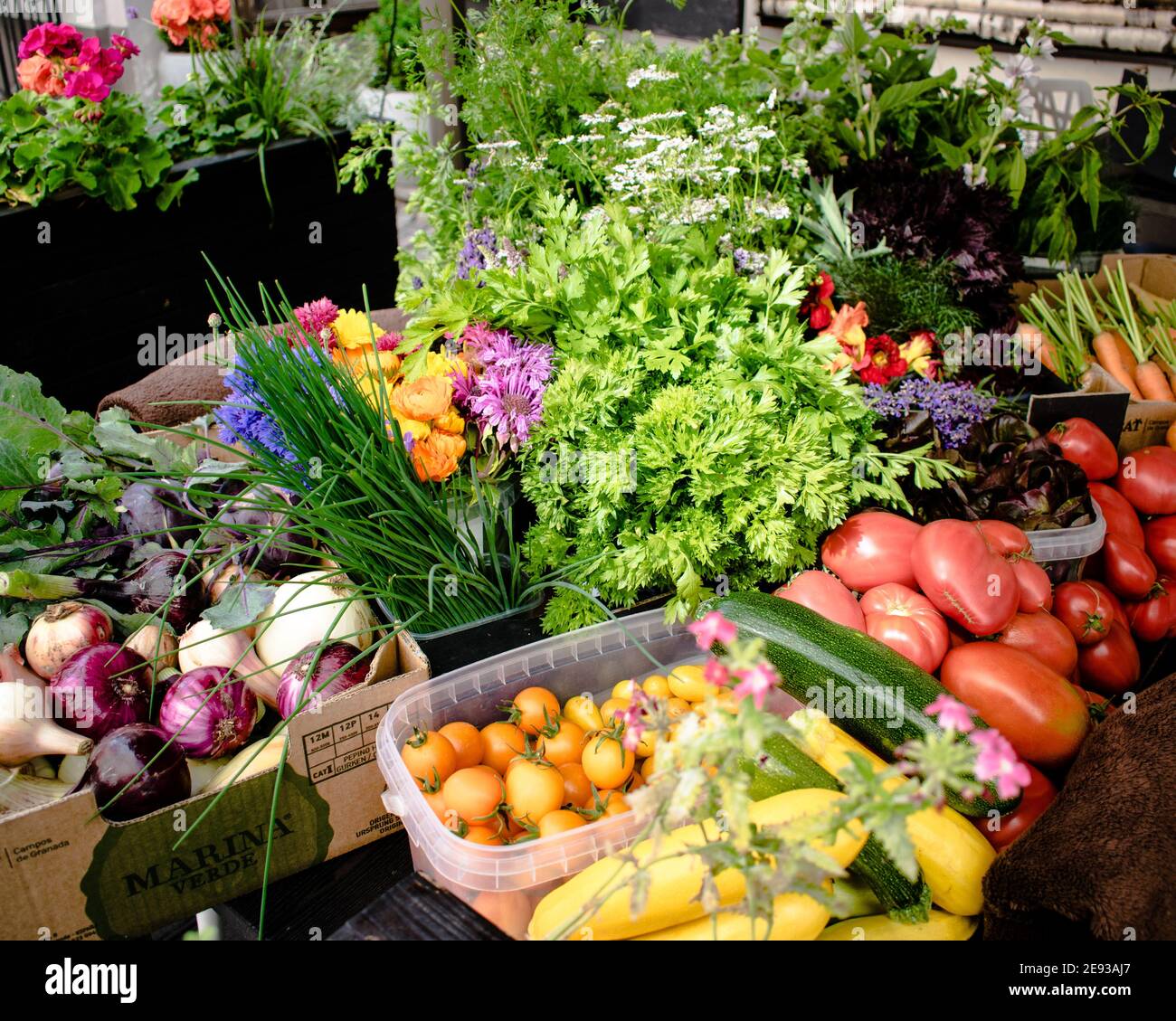Assorted vegetables straight from the farm to restaurant Stock Photo ...