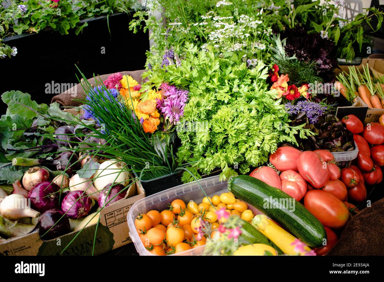 Assorted vegetables straight from the farm to restaurant Stock Photo ...