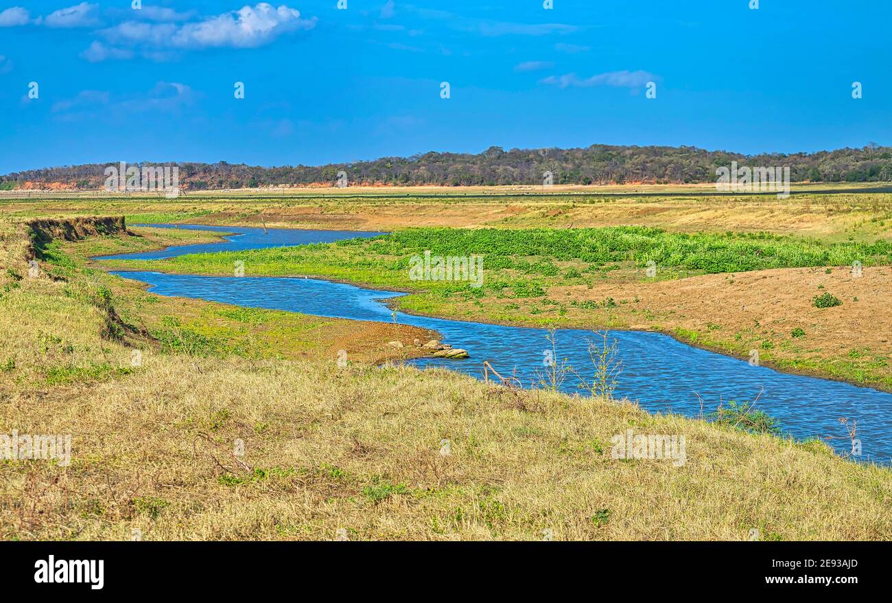 Babai River, Royal Bardia National Park, Bardiya National Park, Nepal ...