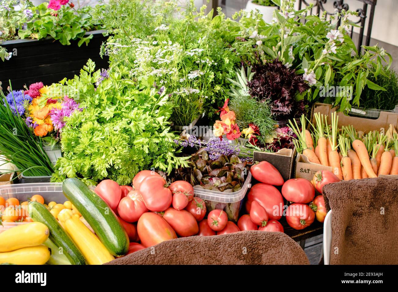 Assorted vegetables straight from the farm to restaurant Stock Photo ...