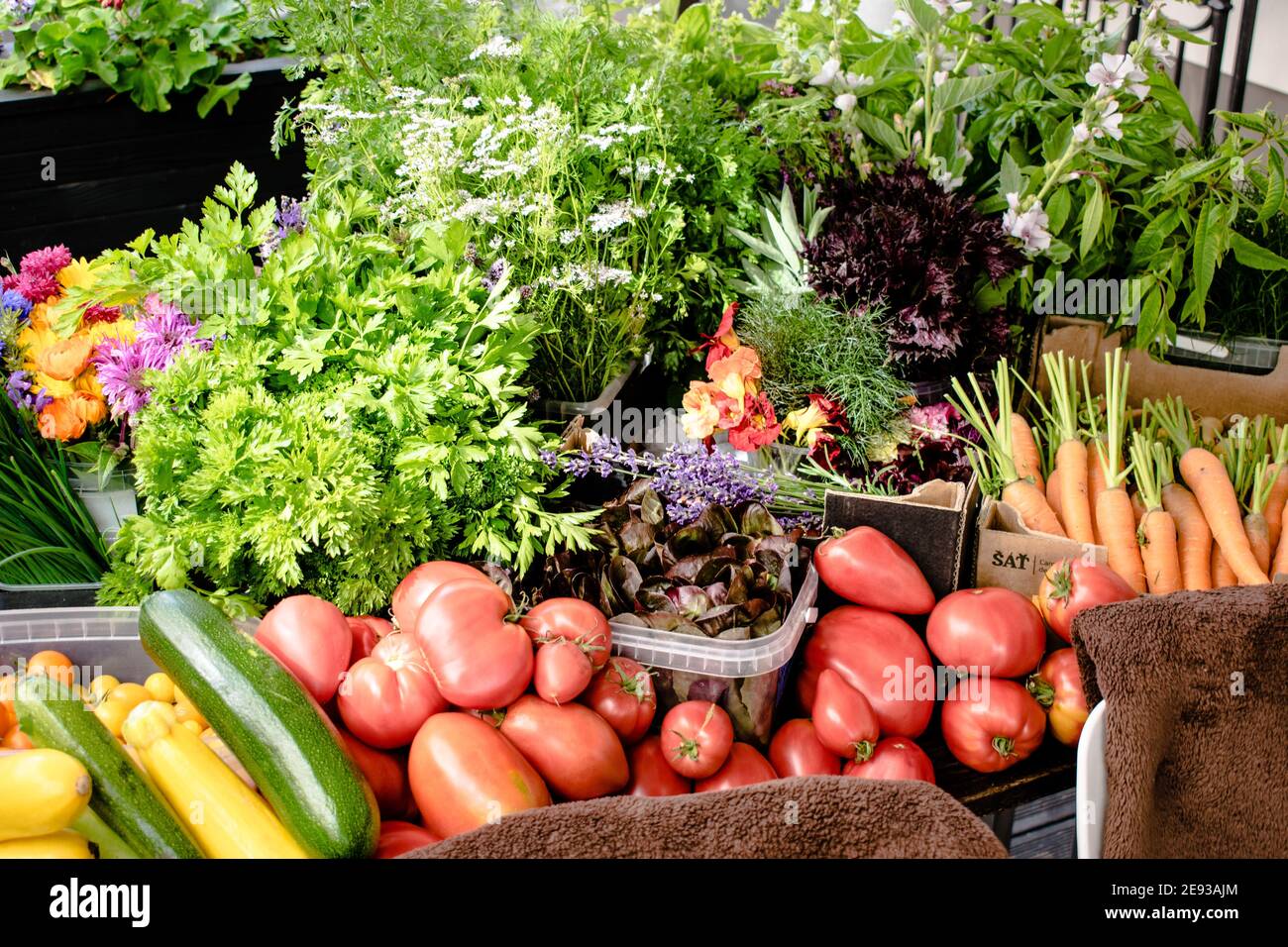 Assorted vegetables straight from the farm to restaurant Stock Photo ...