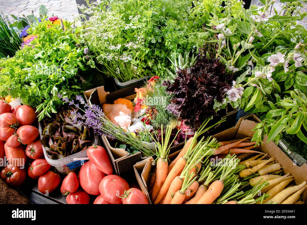 Assorted vegetables straight from the farm to restaurant Stock Photo ...