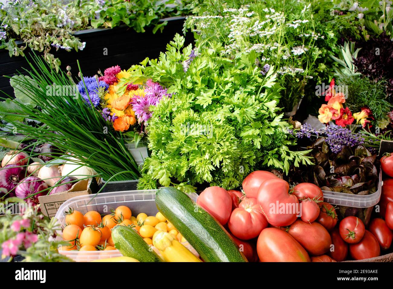 Assorted vegetables straight from the farm to restaurant Stock Photo ...