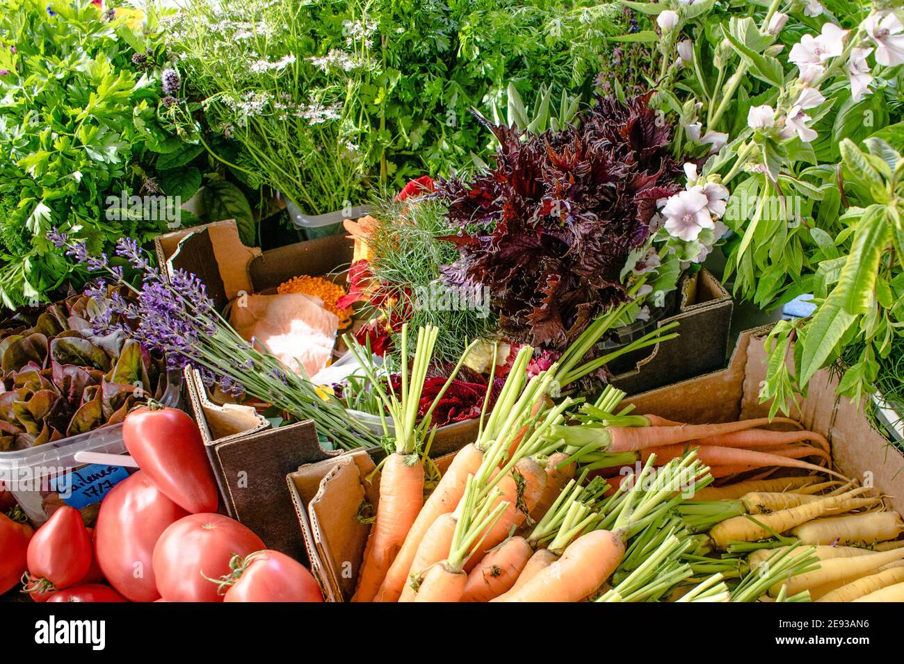 Assorted vegetables straight from the farm to restaurant Stock Photo ...
