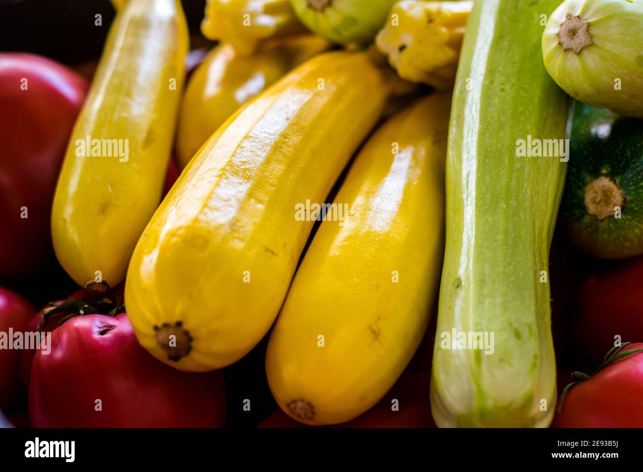 Assorted vegetables straight from the farm to restaurant Stock Photo ...
