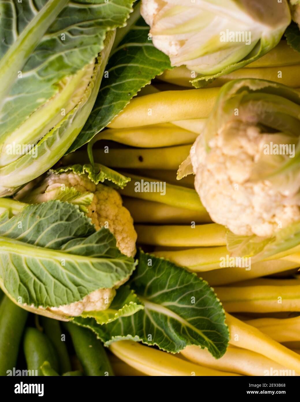 Assorted vegetables straight from the farm to restaurant Stock Photo ...