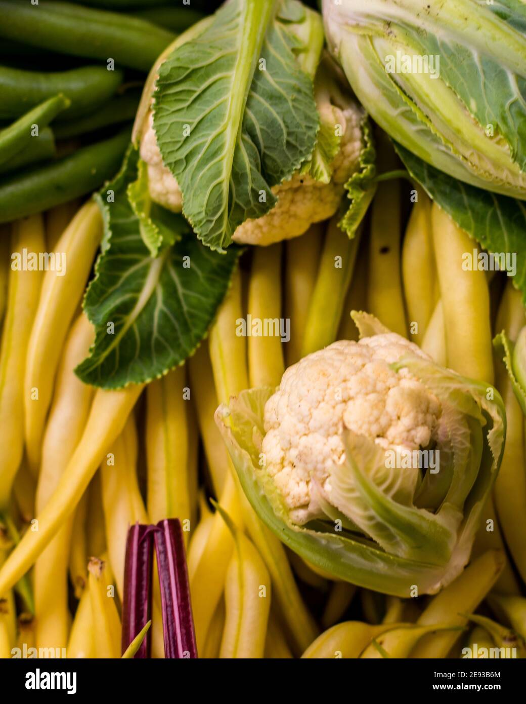 Assorted vegetables straight from the farm to restaurant Stock Photo ...