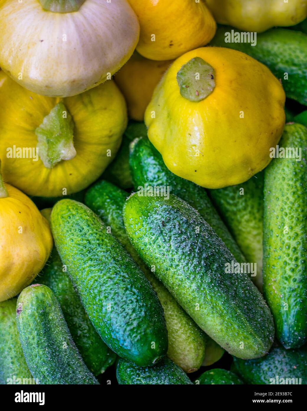 Assorted vegetables straight from the farm to restaurant Stock Photo ...