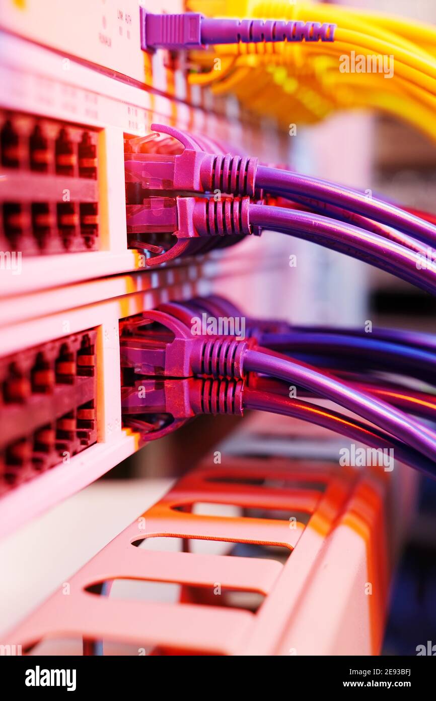 Server rack with blue and red internet patch cord cables connected to black patch panel in data ...