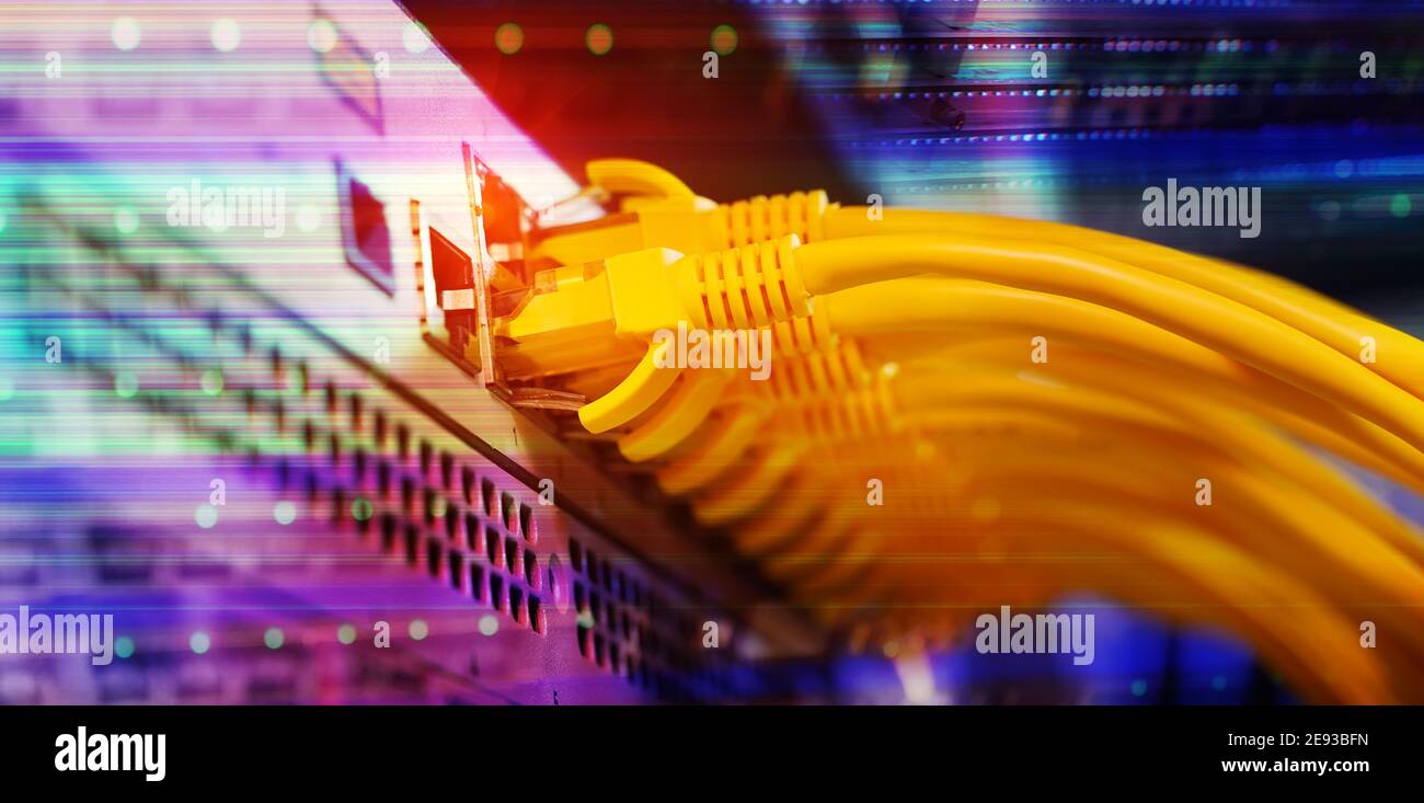 Server rack with blue and red internet patch cord cables connected to ...
