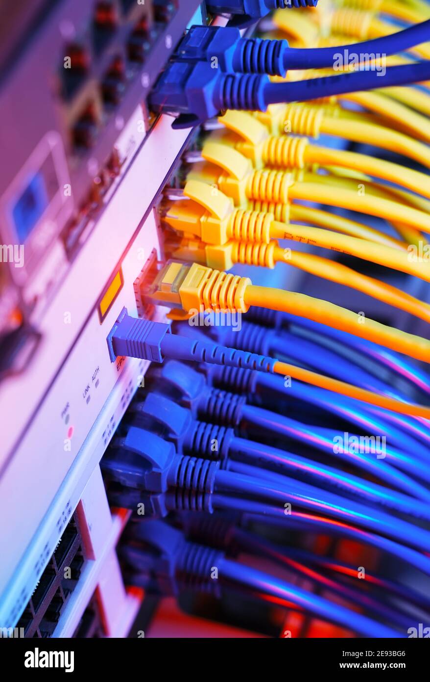 Server rack with blue and red internet patch cord cables connected to ...