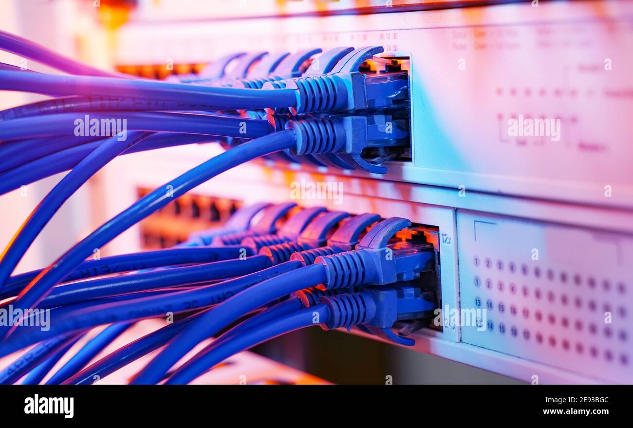 Server rack with blue and red internet patch cord cables connected to ...