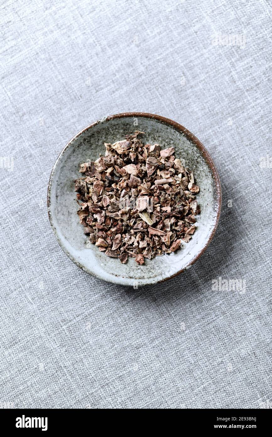 Dry root of Rhodiola rosea. Golden root, rose root. Healthy medical ...