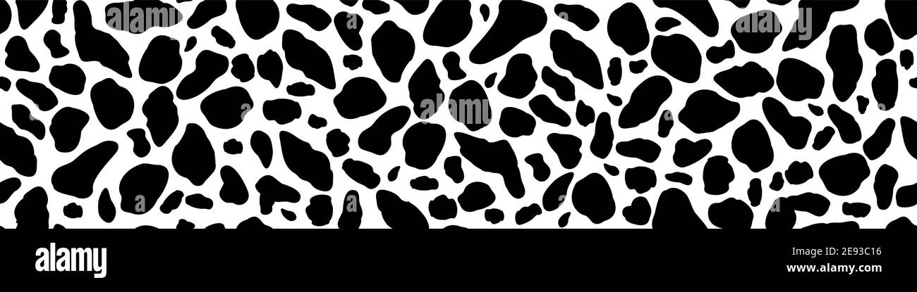 Vector cow pattern seamless background. Black irregular patches on ...
