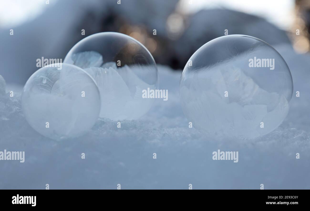 Beautiful frozen soap bubbles in snow on a very cold winter day Stock ...