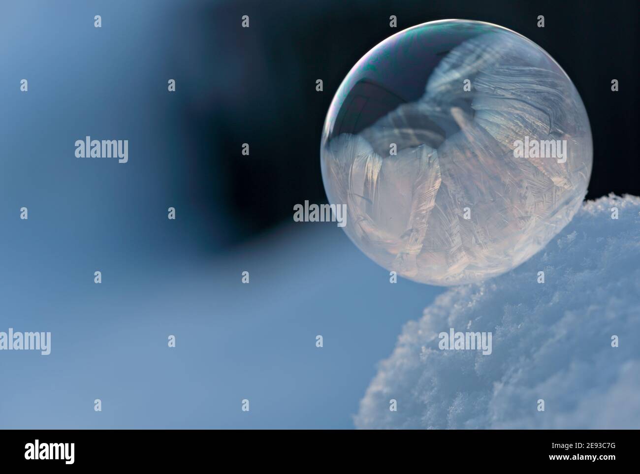 Beautiful frozen soap bubble in snow on a very cold winter day Stock ...