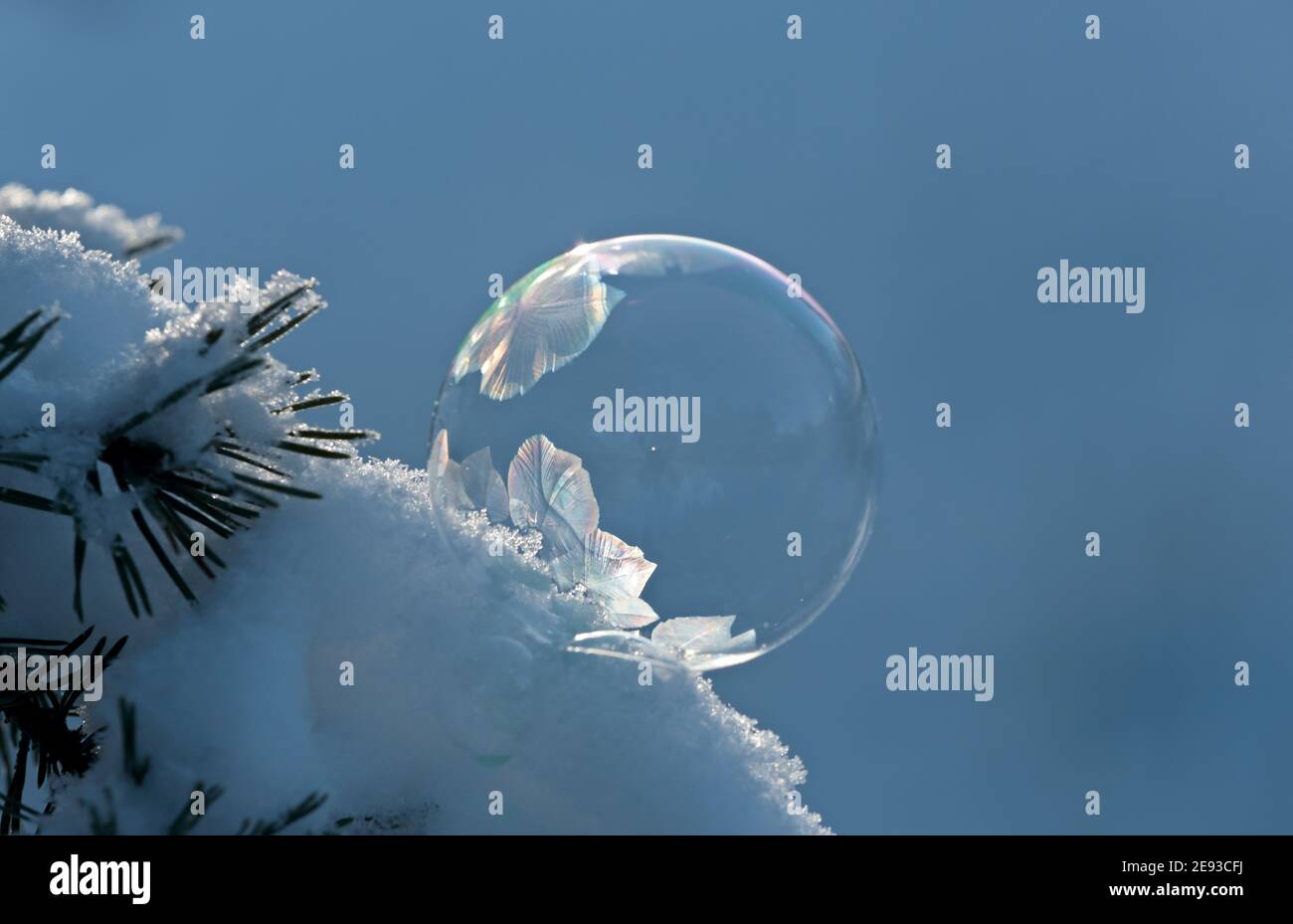 Beautiful frozen soap bubble in snow on a very cold winter day Stock ...